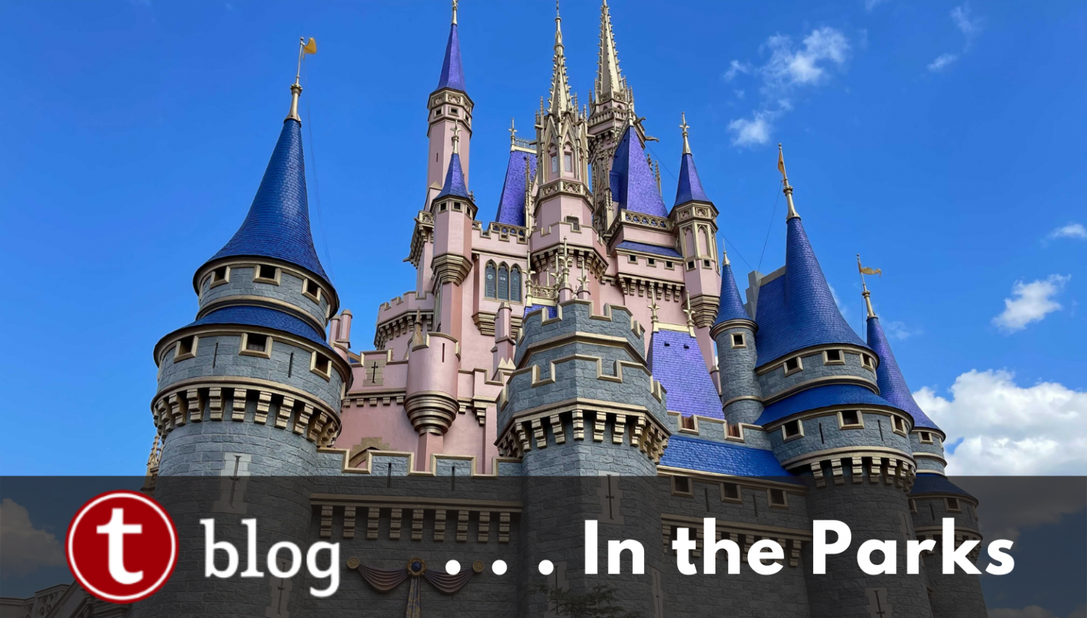 New Magic Kingdom Touring Plan For Families With Younger And Older ...