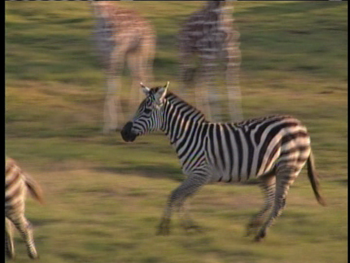 SATURDAY SIX: 6 Reasons We Love DISNEY SING ALONG SONGS – Flik’s ...