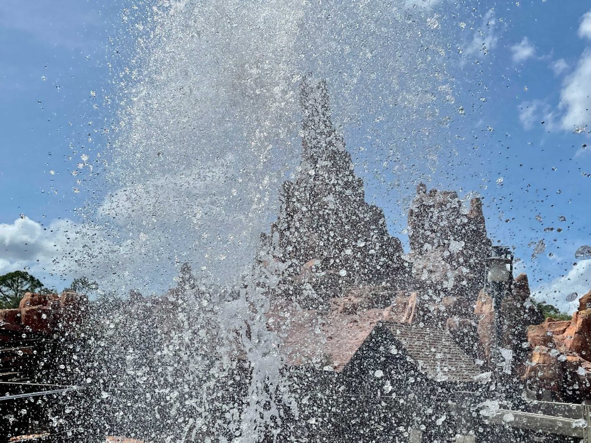 In the Parks: Magical Magic Kingdom Day | TouringPlans.com Blog