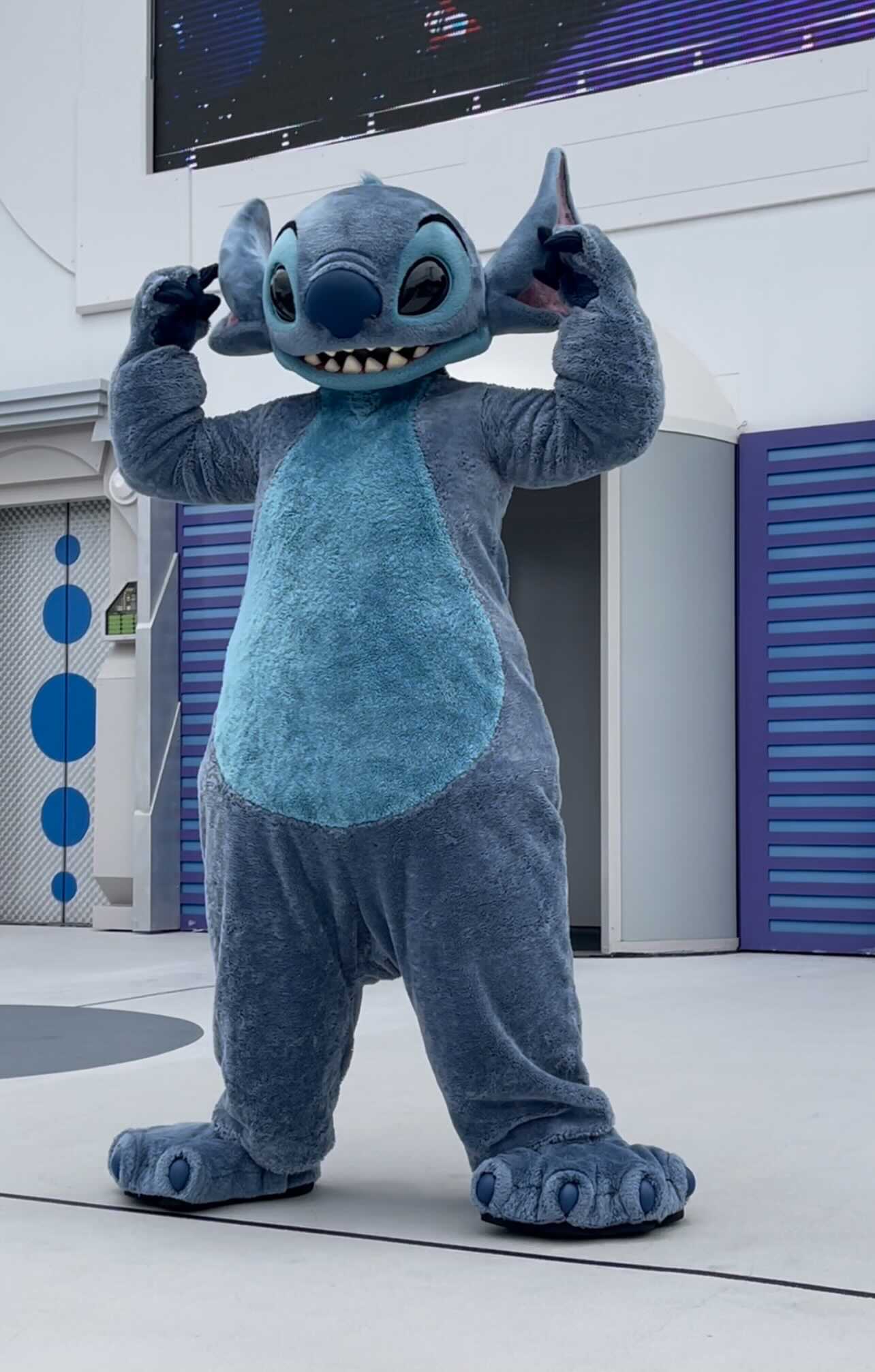 Walt Disney World Anniversary: 50 Favorite Character Sightings ...