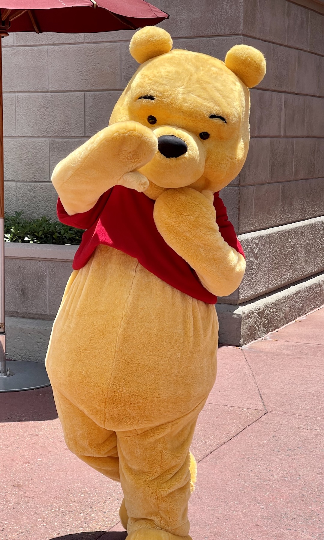 Walt Disney World Anniversary: 50 Favorite Character Sightings ...