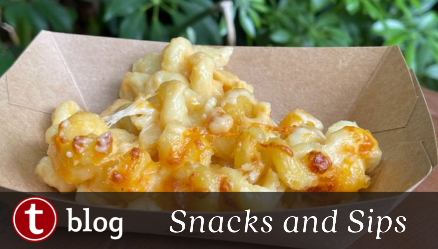 Animal Kingdom’s Eight Spoon Cafe: A Comfort Food Haven | TouringPlans ...