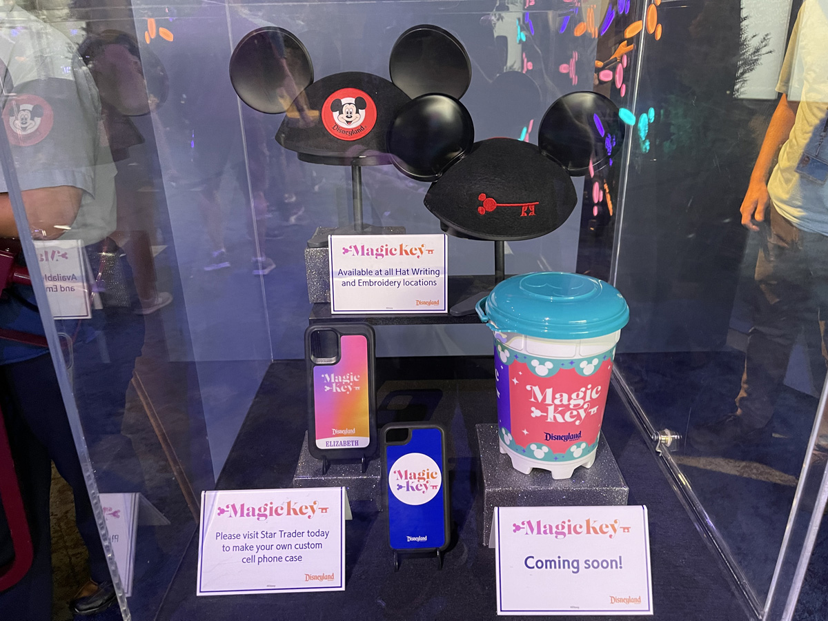 PHOTOS: A Look Inside Disneyland’s New Magic Key Lounge | TouringPlans ...