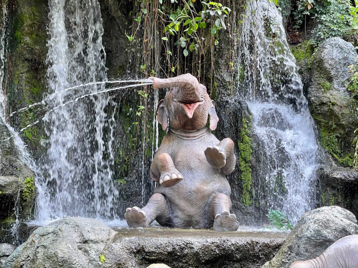 Five Things to Know About the Jungle Cruise | TouringPlans.com Blog