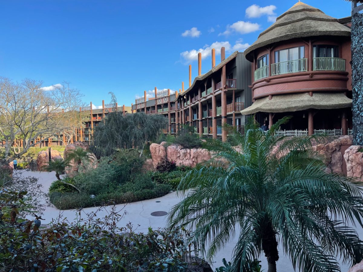 Jiko – The Cooking Place: A Reopening Review | TouringPlans.com Blog