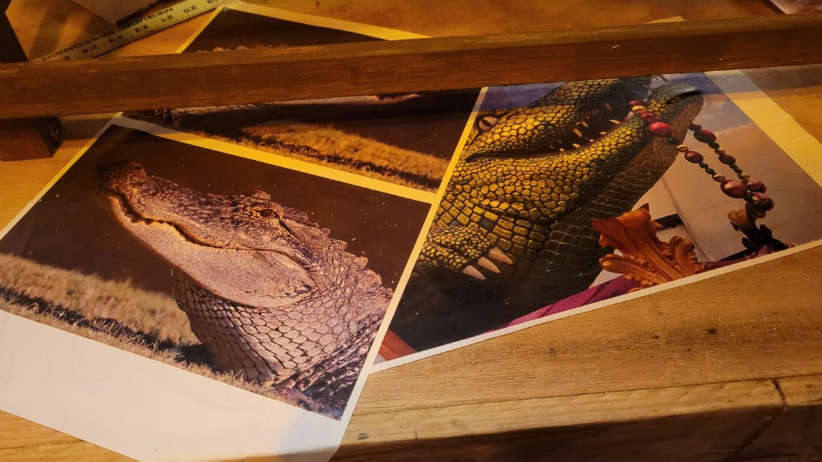 The SATURDAY SIX Takes at Look at the Mardi Gras “Float Factory ...