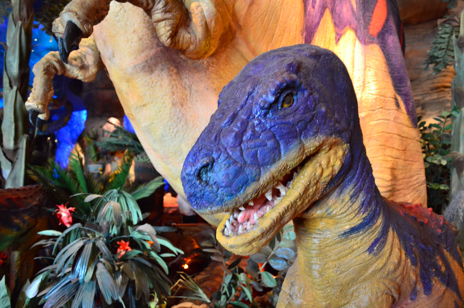 SATURDAY SIX: The Most UNIQUE Dining Experiences in Walt Disney World ...