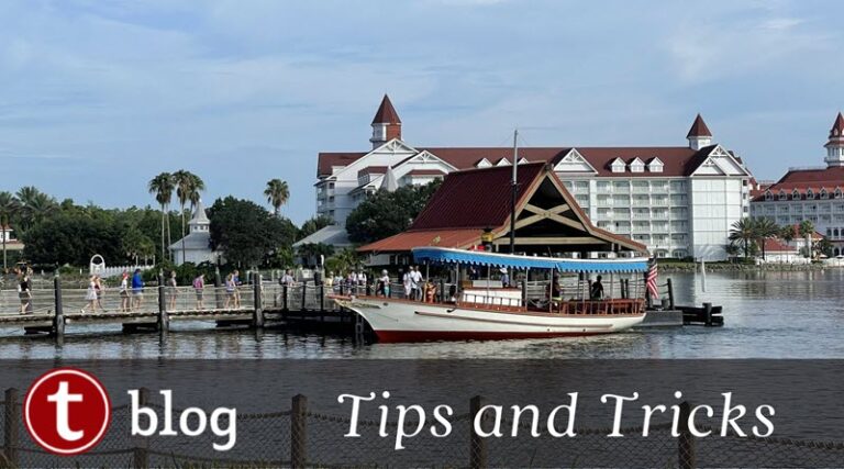 Beating the Heat at Disney World