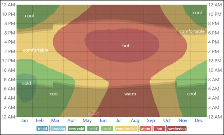 Beating the Heat at Disney World