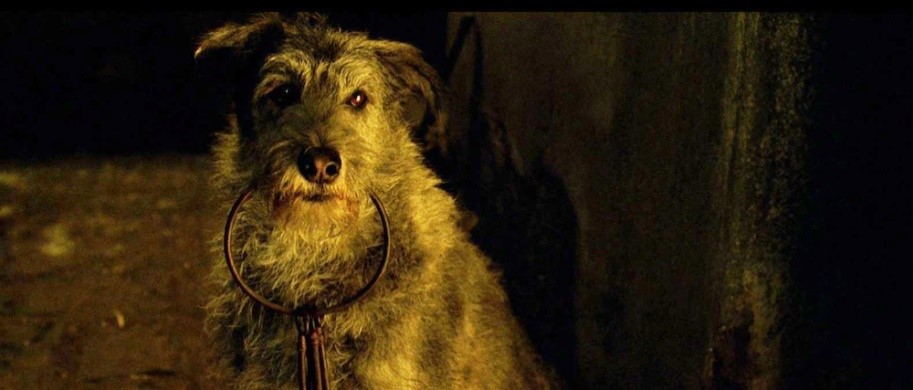 SATURDAY SIX: Examining the DOG WITH KEY scene in Pirates of the ...