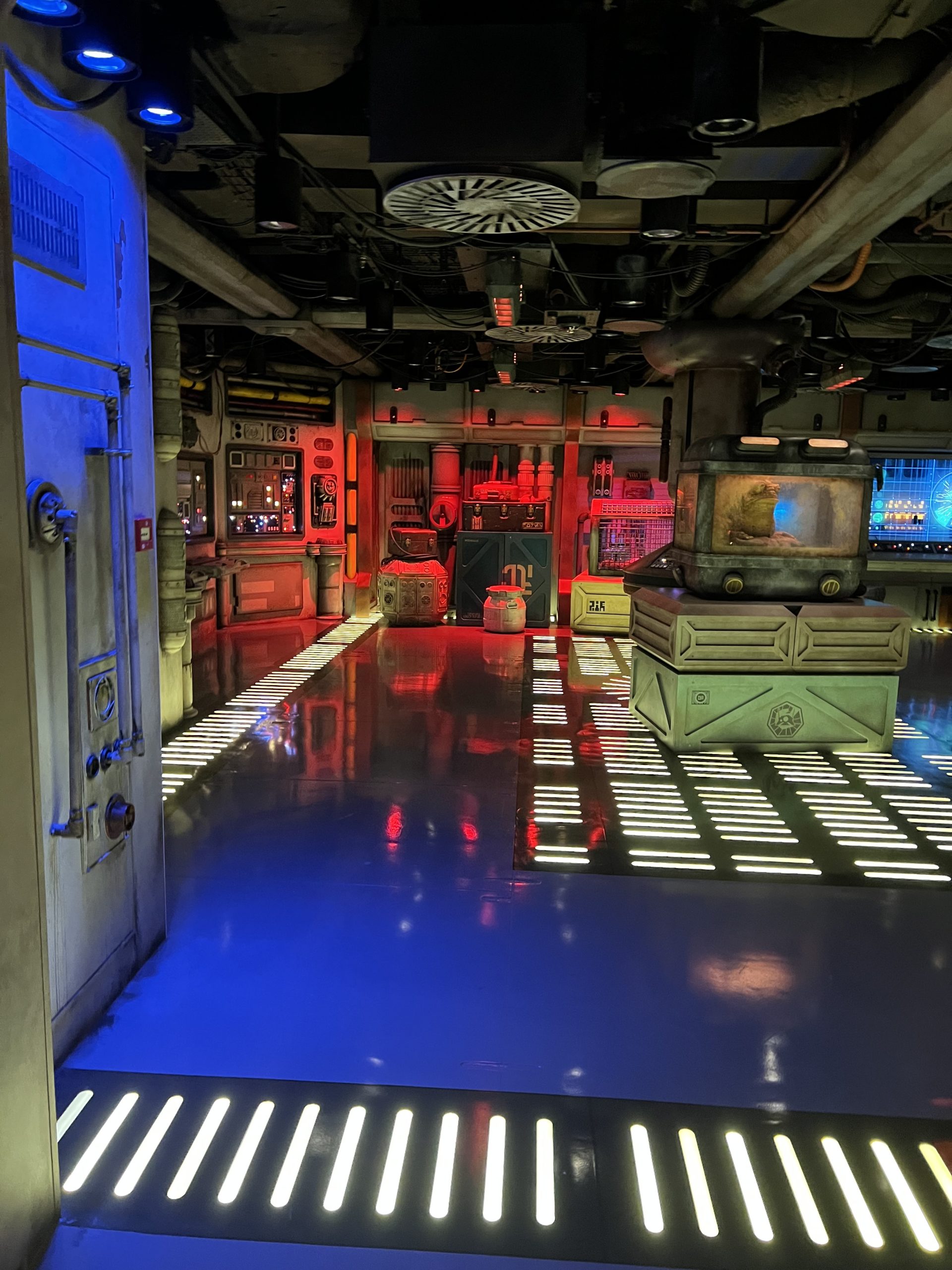 10 Things on the Disney Wish That Are Different from the Other DCL ...