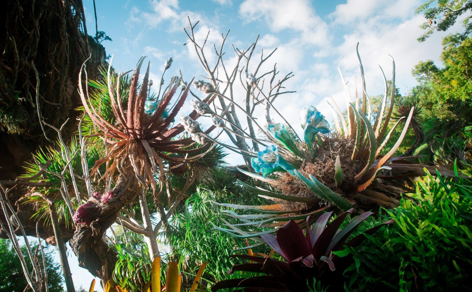 SATURDAY SIX Presents: The Definitive Guide to Pandora the World of ...