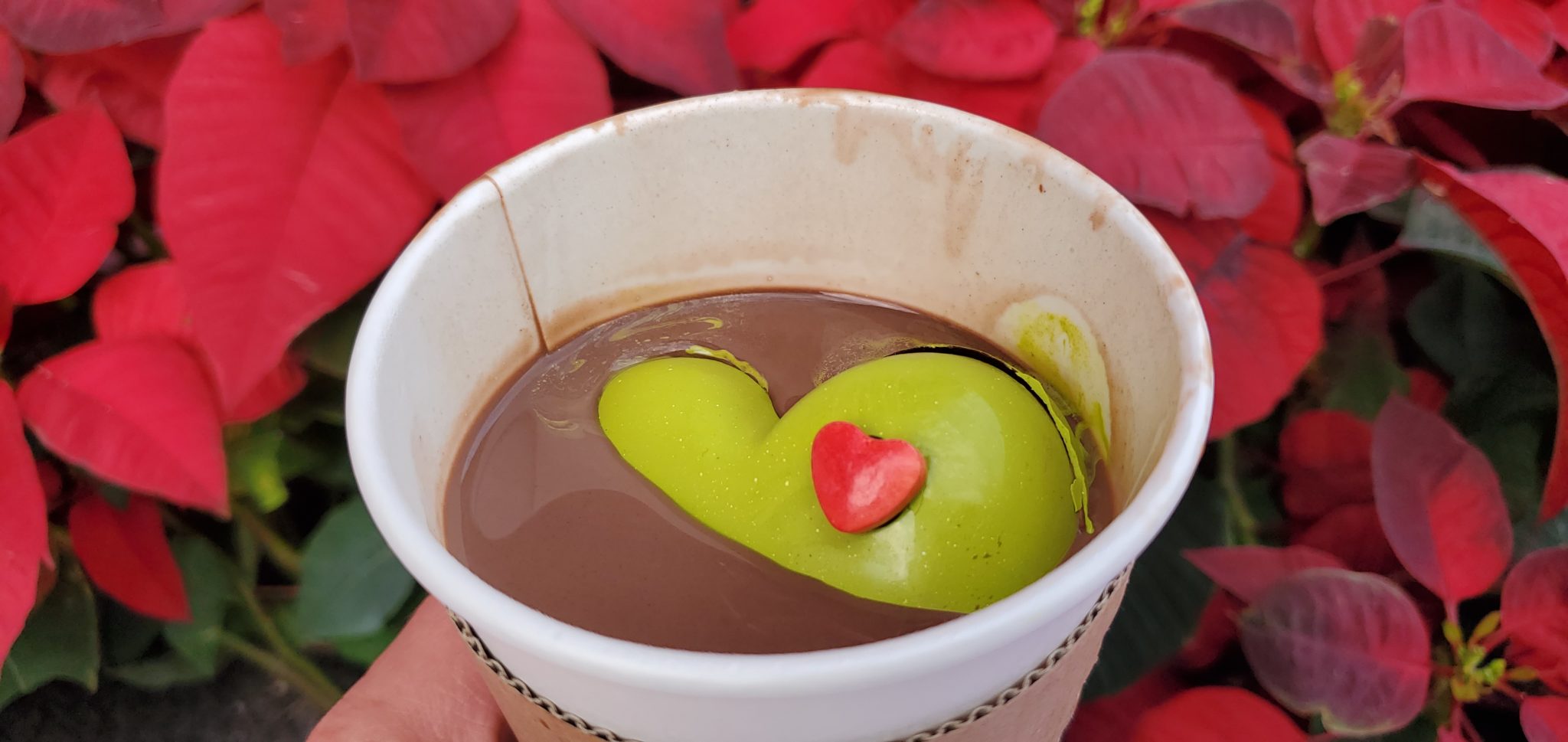 25 Drinks of Christmas – Day 14: Grinch Hot Chocolate Bomb in Seuss ...