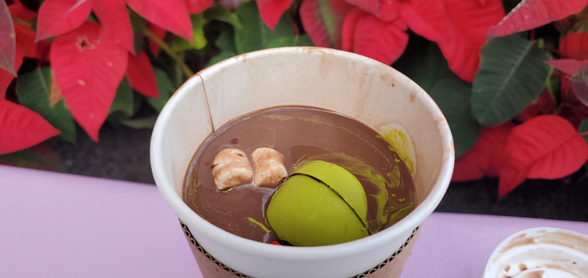 25 Drinks of Christmas – Day 14: Grinch Hot Chocolate Bomb in Seuss ...