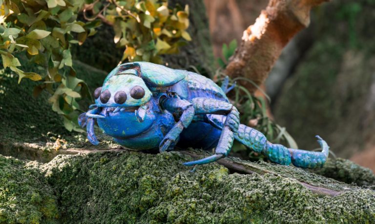 SATURDAY SIX Presents: The Definitive Guide to Pandora the World of ...