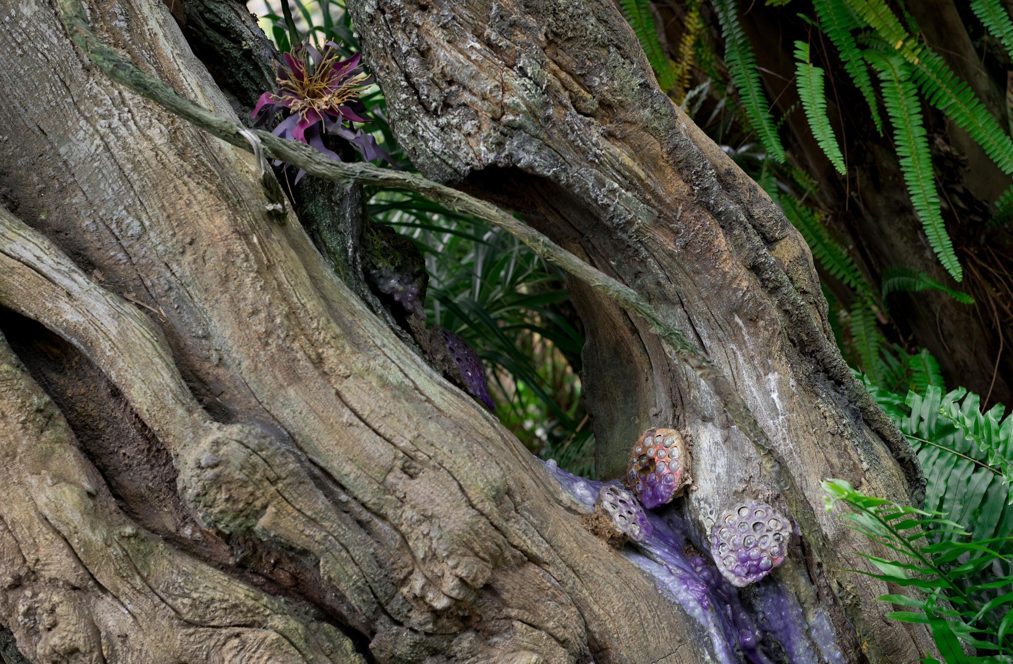 SATURDAY SIX Presents: The Definitive Guide to Pandora the World of ...