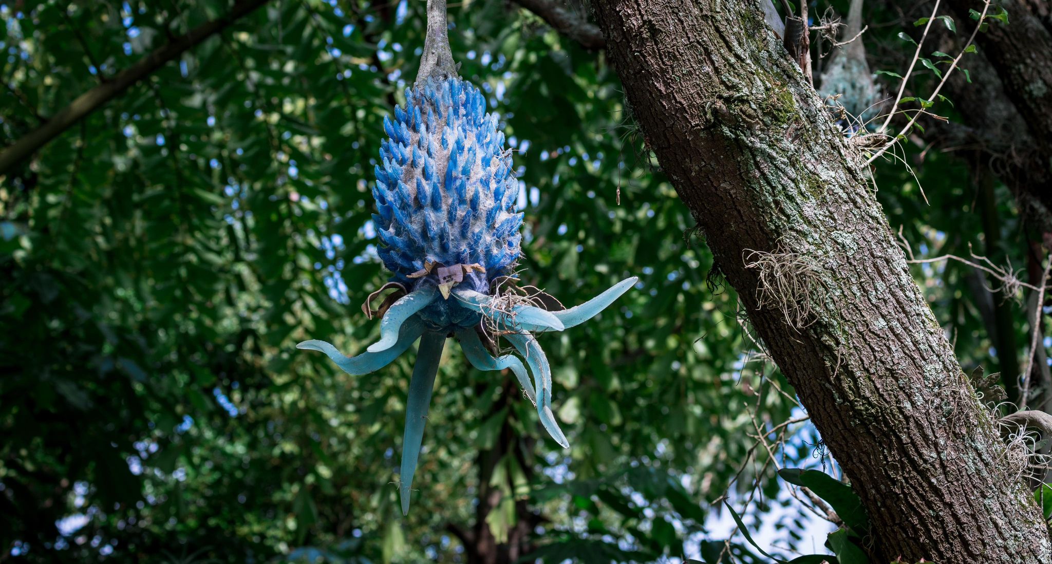 SATURDAY SIX Presents: The Definitive Guide to Pandora the World of ...