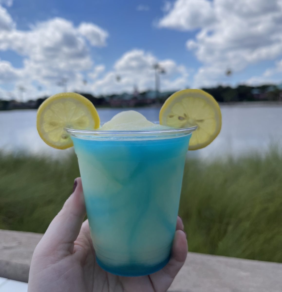 25 Drinks of Christmas – Day 9: ALMANDE GROG at Bar Riva (Disney’s ...