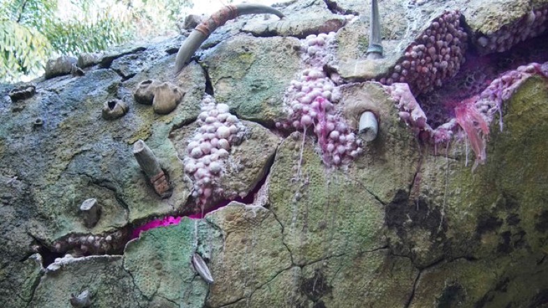 SATURDAY SIX Presents: The Definitive Guide to Pandora the World of ...