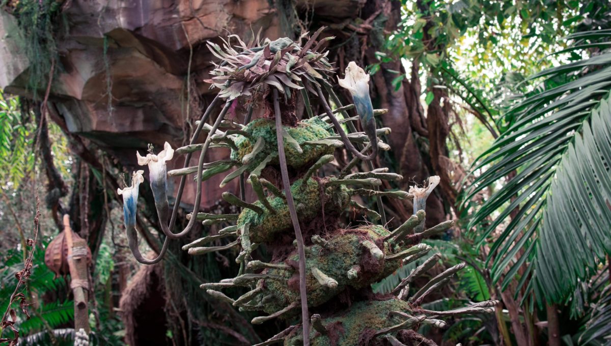 SATURDAY SIX Presents: The Definitive Guide to Pandora the World of ...