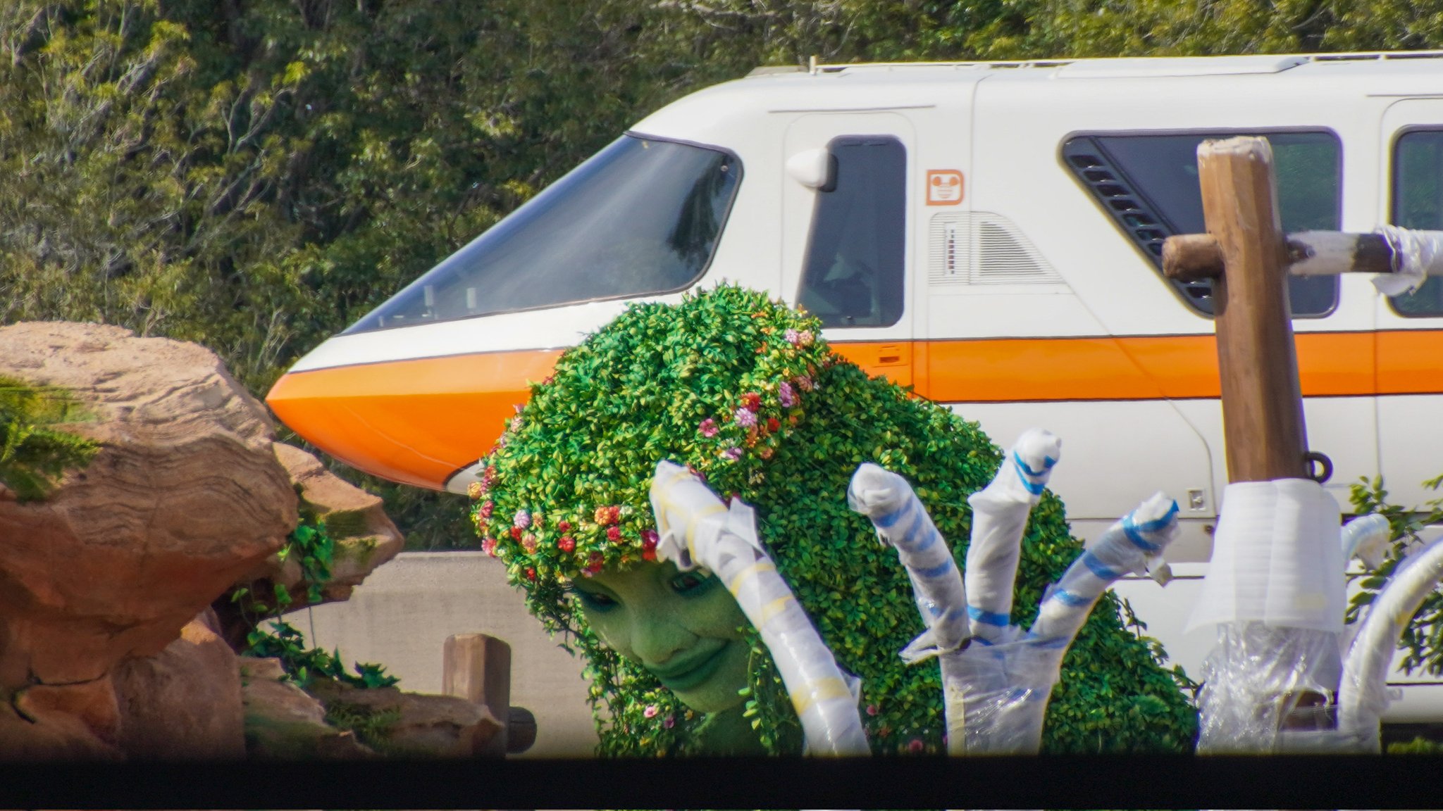 SATURDAY SIX Presents: Our Favorite @bioreconstruct Photos of 2022 ...