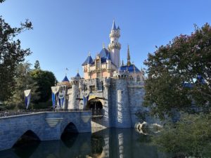 What’s the Difference Between Disneyland’s Magic Key Tiers ...