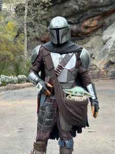 What’s the Difference Between Disneyland’s Magic Key Tiers ...