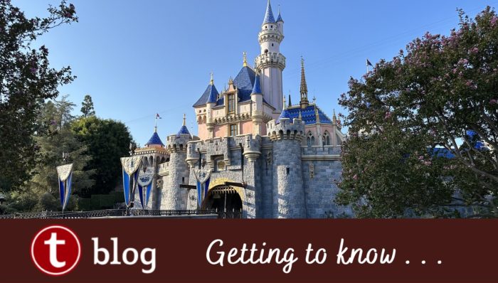 What’s the Difference Between Disneyland’s Magic Key Tiers ...