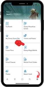 Guide to Setting Up and Using Disney MagicMobile