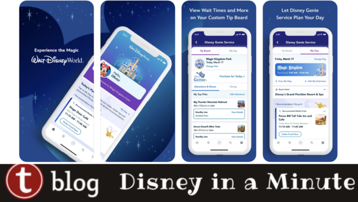 Disney in a Minute: What is My Disney Experience? | TouringPlans.com Blog