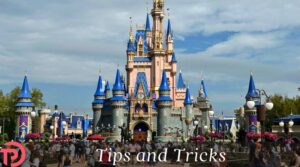 Walt Disney World’s Disability Access Service: FAQ | TouringPlans.com Blog