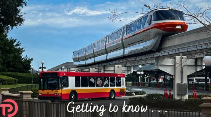 Getting to Rope Drop at Disney World | TouringPlans.com Blog