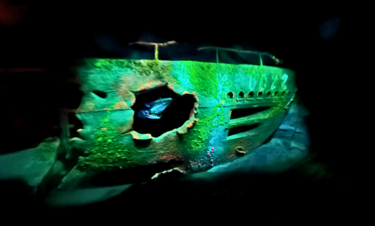 Five Things to Know About The Seas With Nemo and Friends | TouringPlans ...