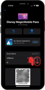 Guide to Setting Up and Using Disney MagicMobile