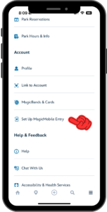 Guide to Setting Up and Using Disney MagicMobile
