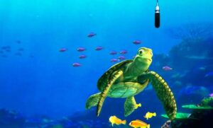 Five Things to Know About Turtle Talk With Crush | TouringPlans.com Blog