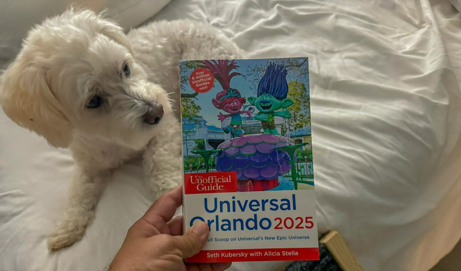 2025 Universal Orlando Holiday Gift Guide | TouringPlans.com Blog