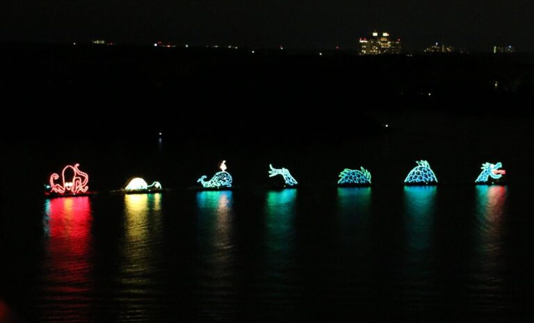 Five Things to Know About The Electrical Water Pageant | TouringPlans ...