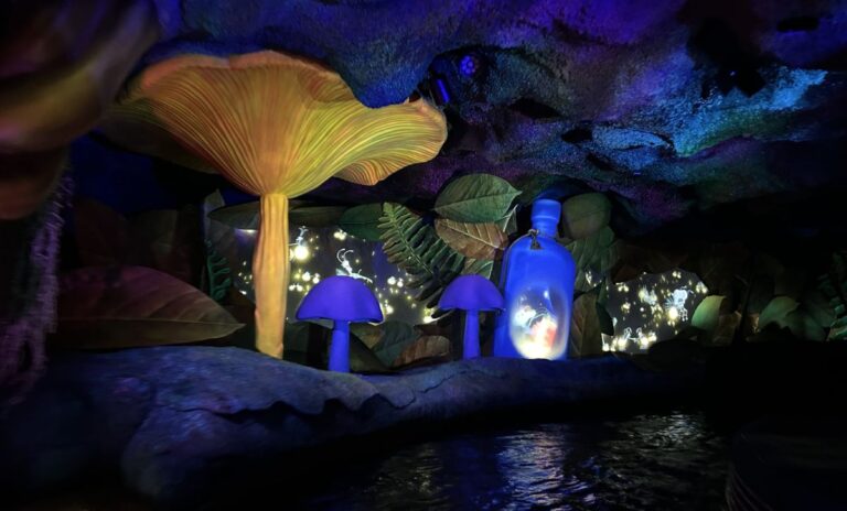 A Ride Chicken Review of Tiana’s Bayou Adventure at Disney World ...