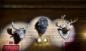 Five Things to Know About Country Bear Musical Jamboree | TouringPlans ...
