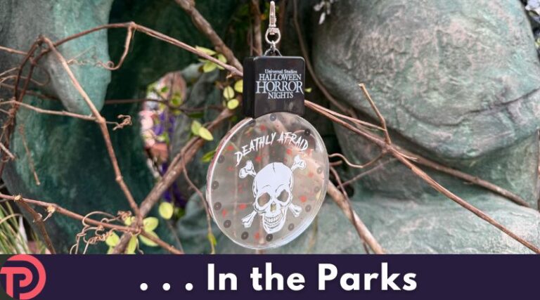 The Deathly Afraid Lanyard – Were We Frightened Less? | TouringPlans.com Blog